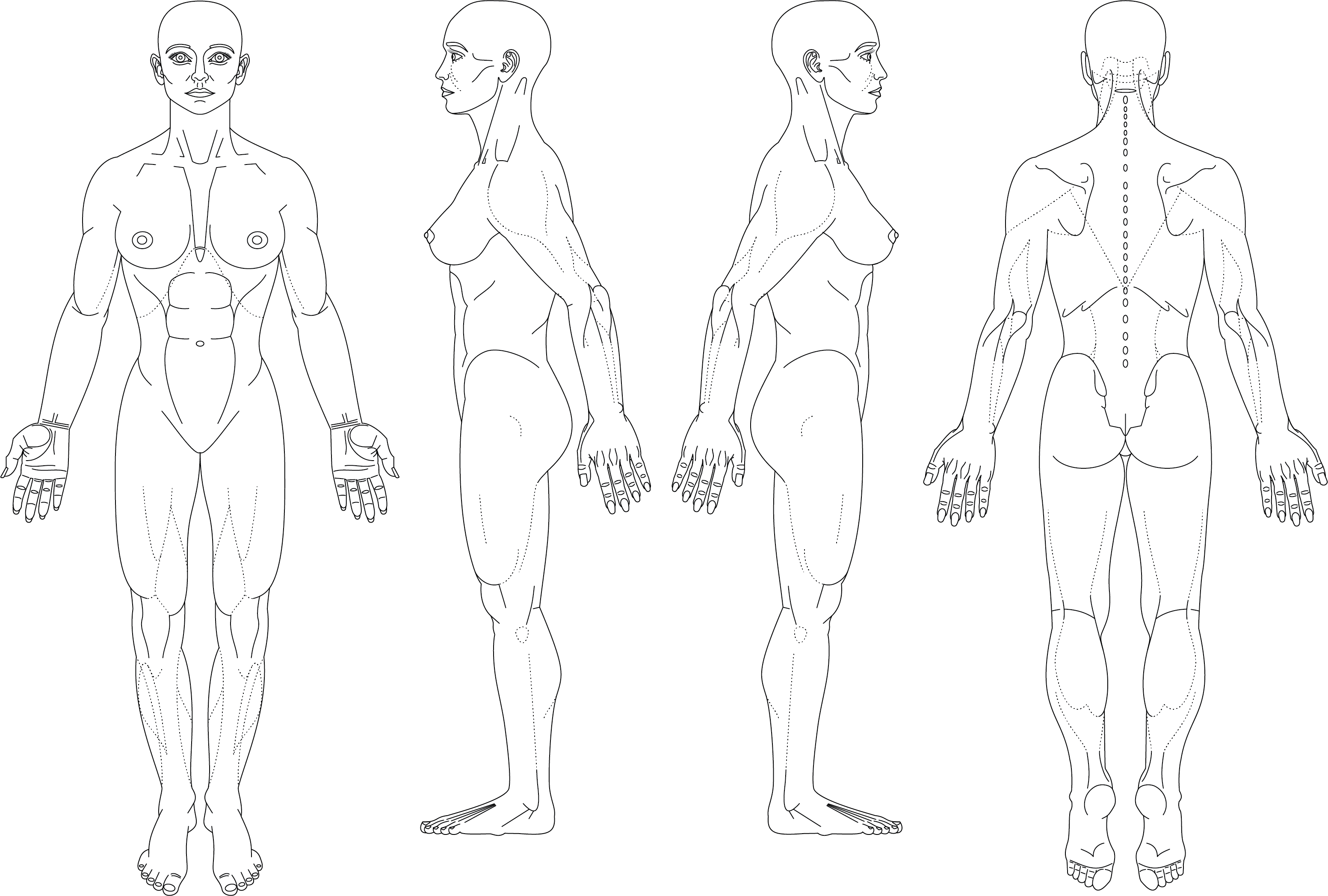 Female Body Diagram Front And Back ~ Pin On Fifi - ikonixx.blogspot.com Female Body Diagram Front And Back ~ Pin On Fifi - ikonixx.blogspot.com